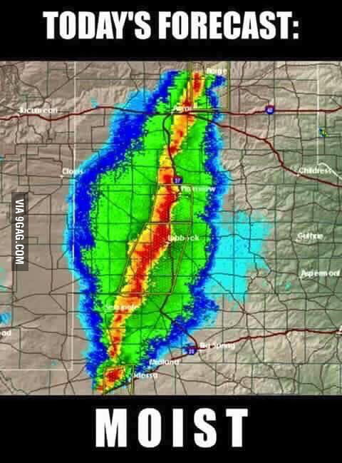Weather Forecast: mostly moist - 9GAG