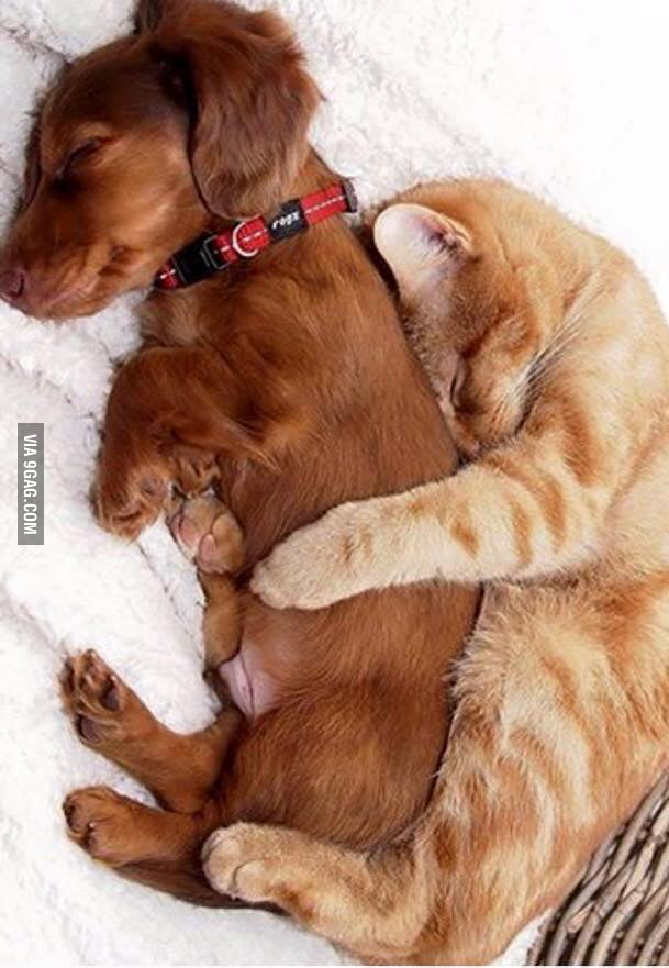 Spooning - 9GAG