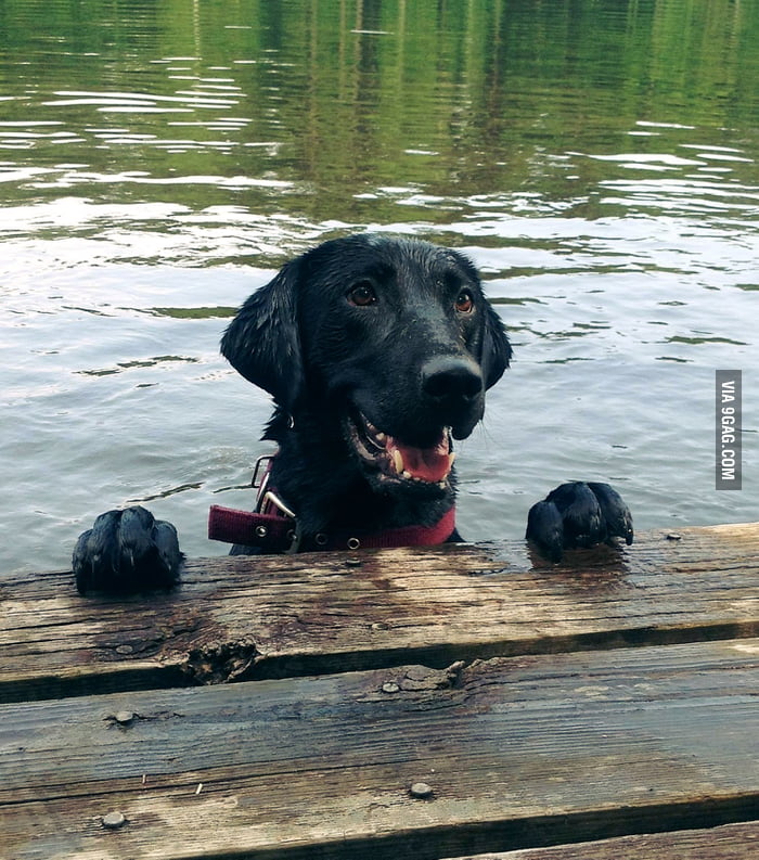 It's her favorite way of cooling off ... - 9GAG