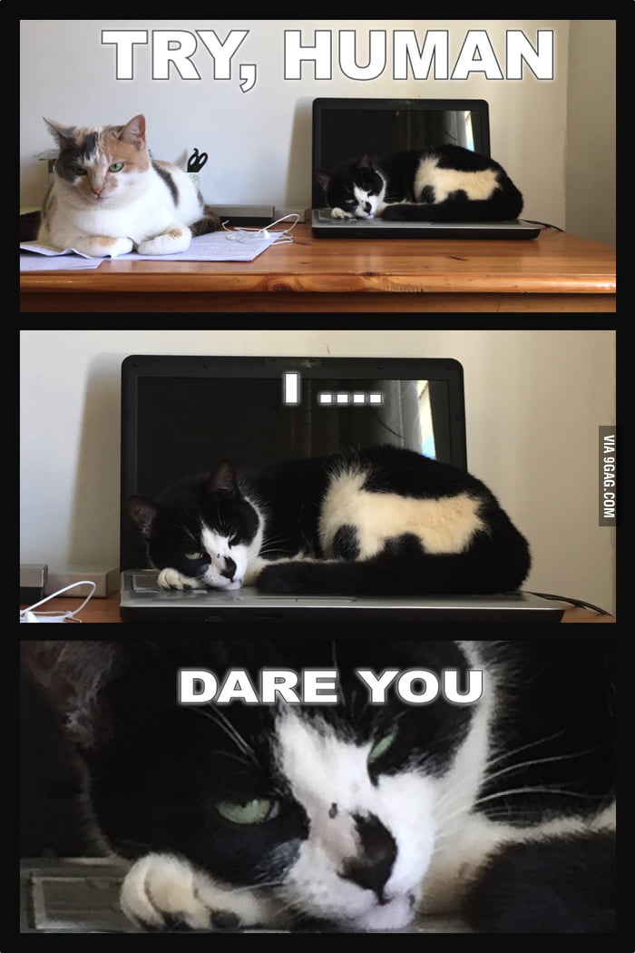 Well this is... catastrophic - 9GAG