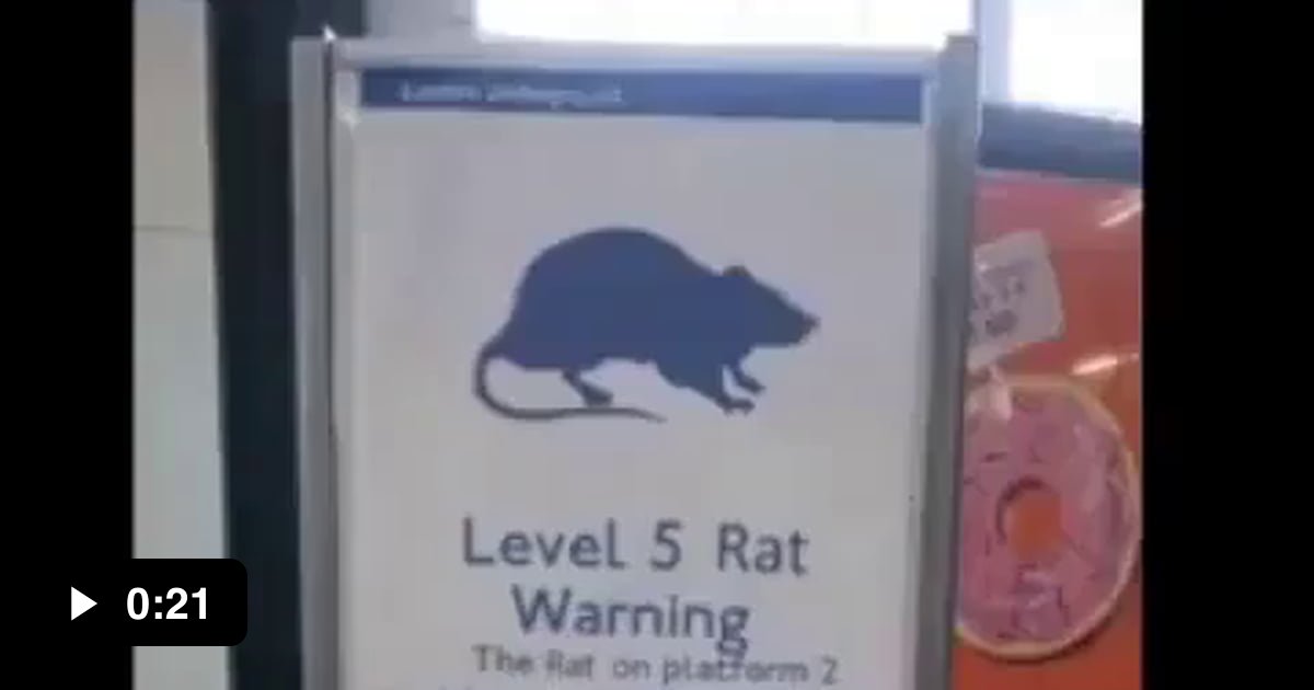 Level 5 Rat, Noob Area Boss - 9GAG
