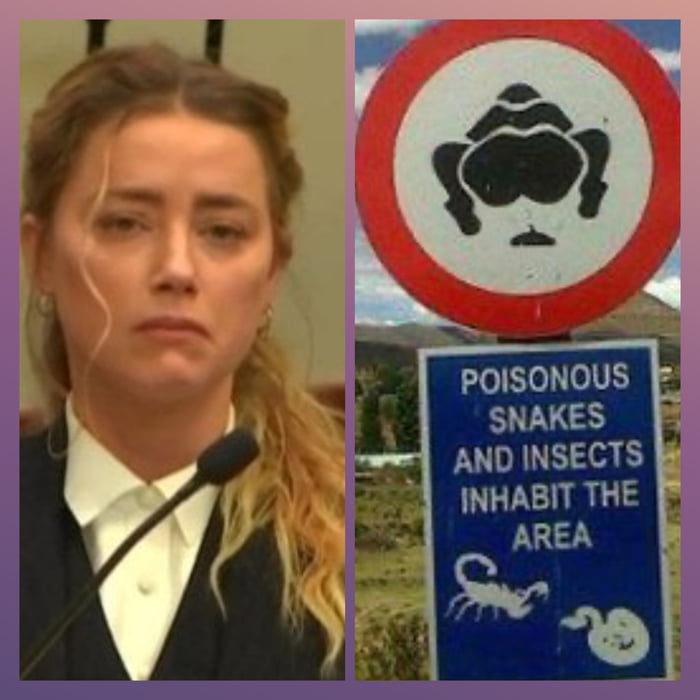 No Amber! Don' t do it! - 9GAG