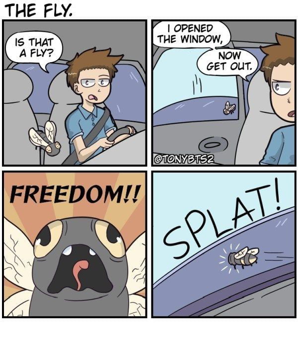 The Fly - 9GAG