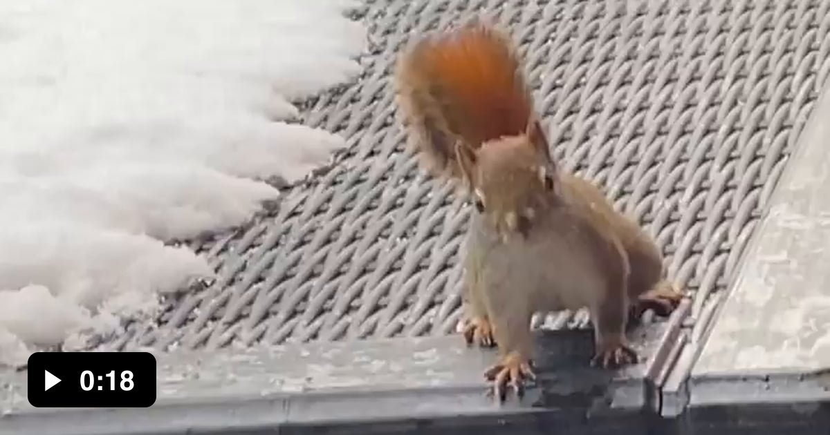 Tiny tippy taps - 9GAG