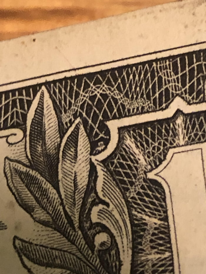 Have you ever noticed that the pattern surrounding the $1 dollar bill ...