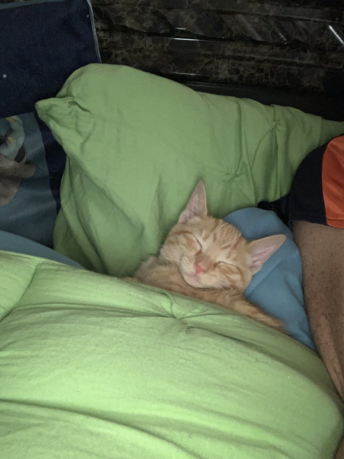 I Present…….Garth - 9GAG