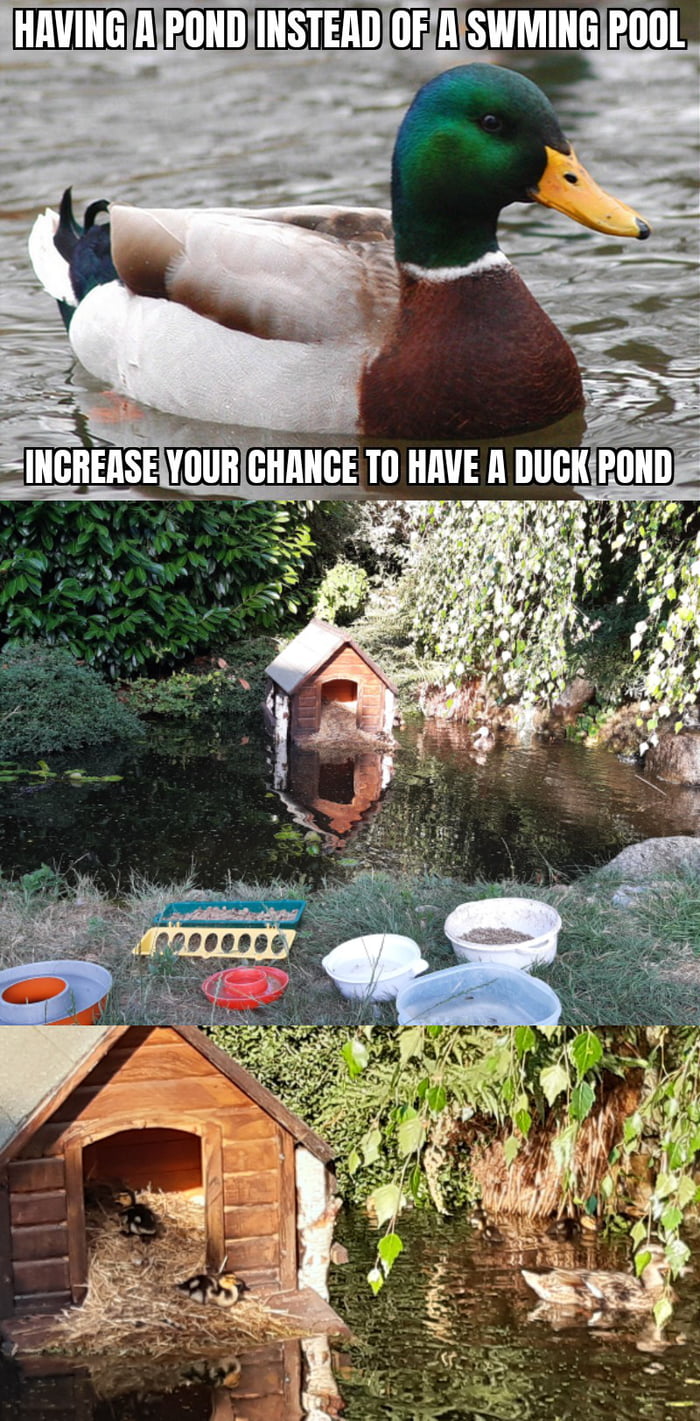 I fed them. I will be spared. - 9GAG