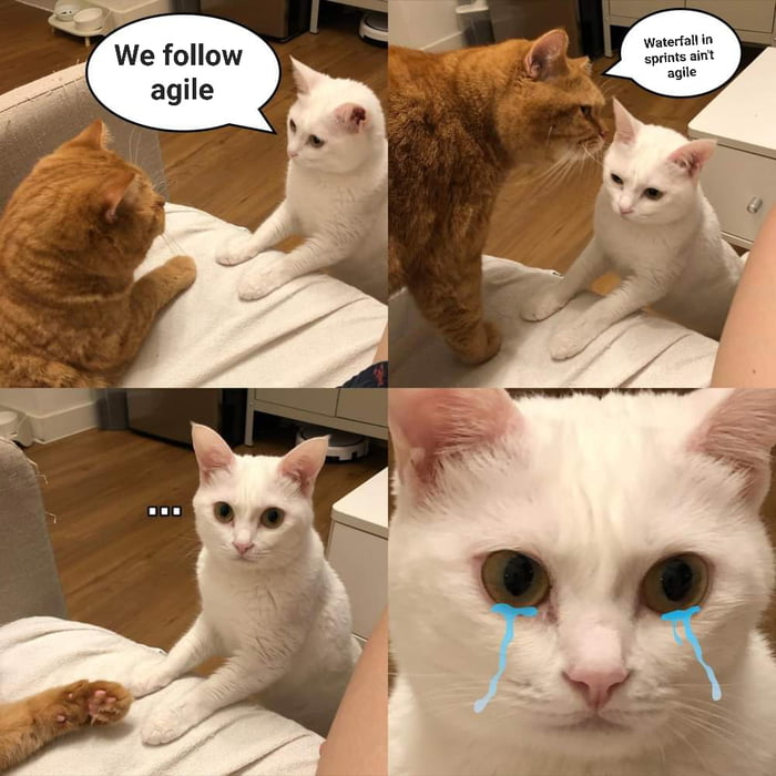Why you hurt me in meow meow - 9GAG