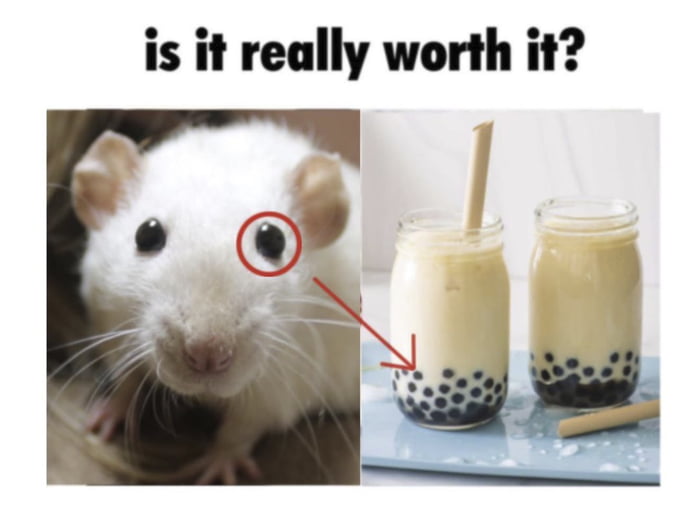 I hate bubble tea - 9GAG