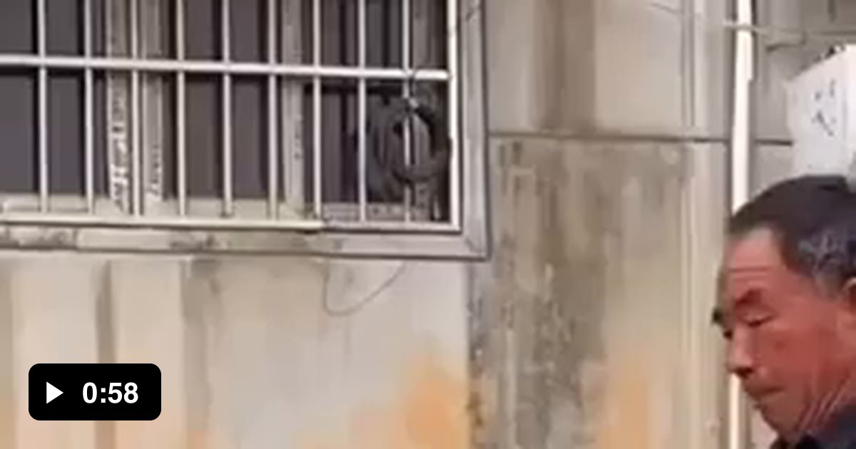 One Punch Man in real life (one-inch punch demonstration from Chinese ...