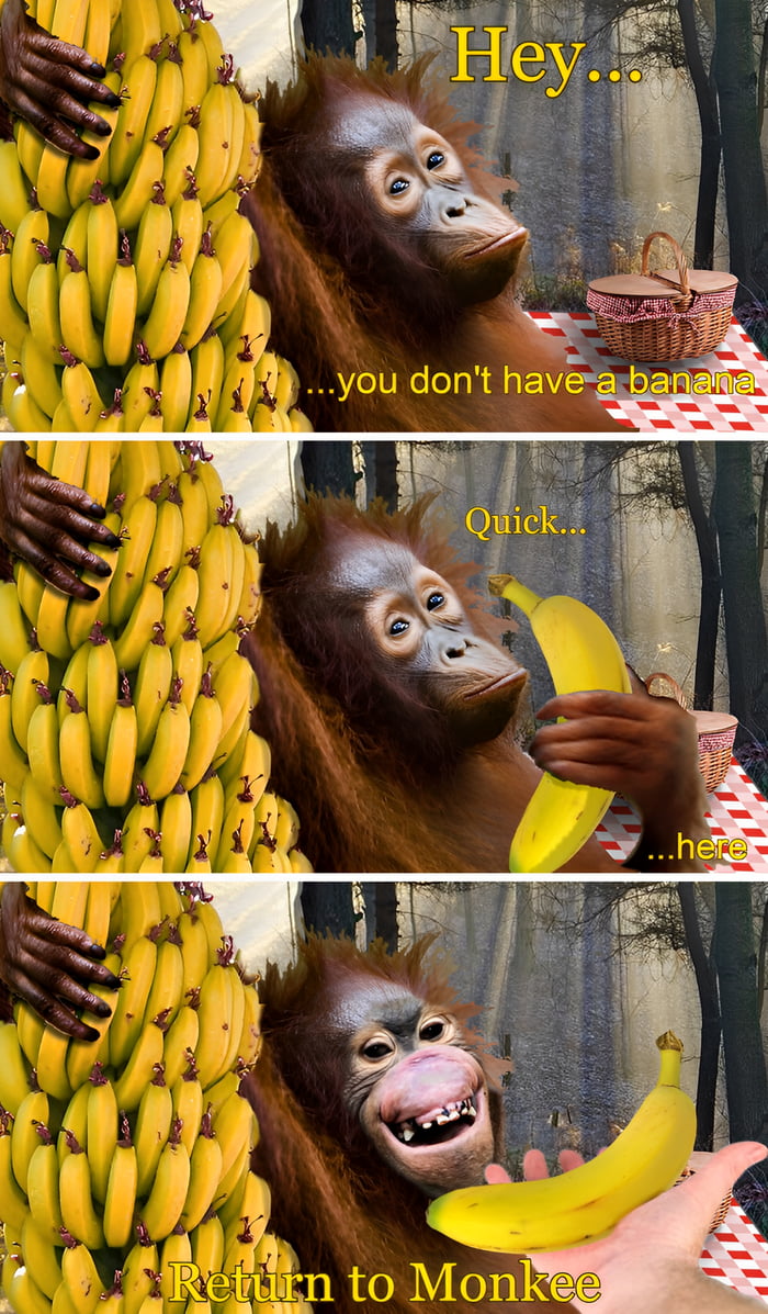 Hey. Hey you. Hey you there. - 9GAG