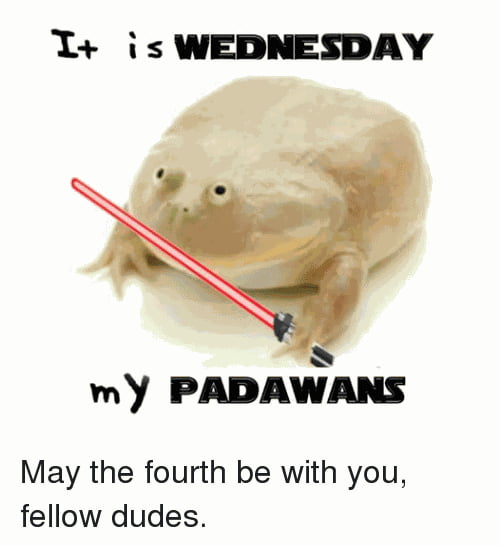 2 flies with one swat - 9GAG