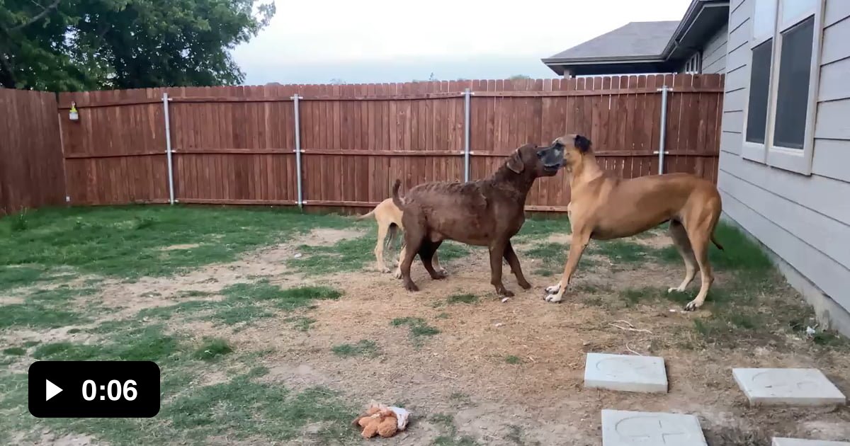 Collateral damage (she’s alright btw) - 9GAG