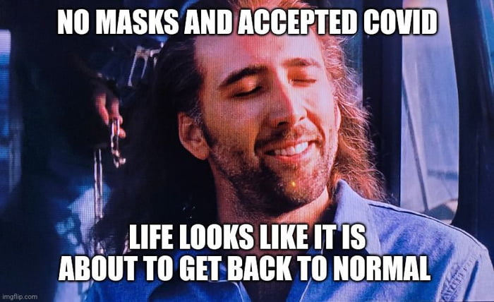 The world's new normal is going sooo well... - 9GAG