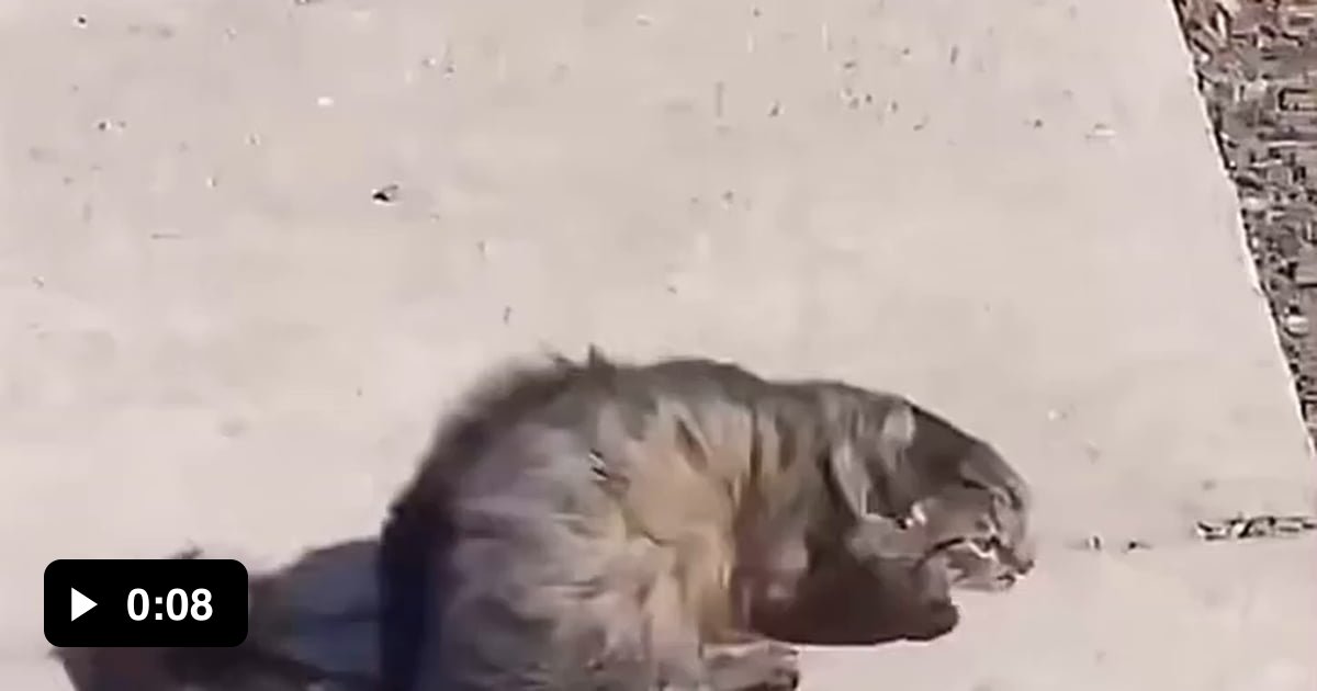 Too..much…wind - 9GAG