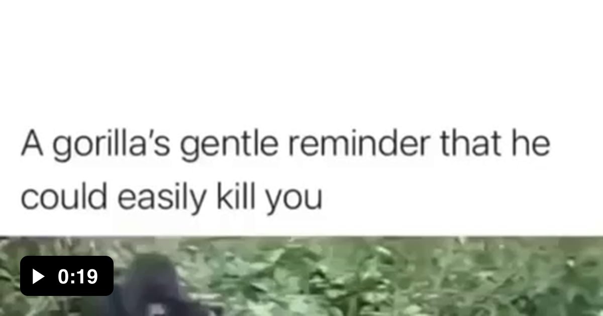 Pithecophobia - 9GAG