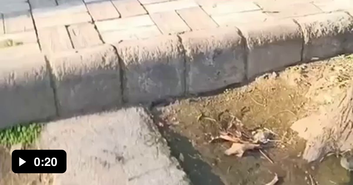 Food tippy taps - 9GAG