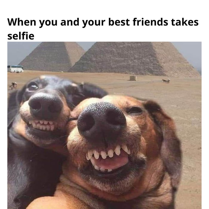 Those weird selfie sessions with your best friend - 9GAG