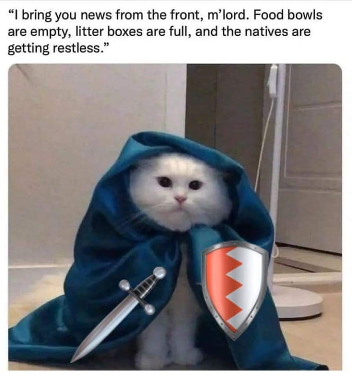 Mmmrrreeeooow.....mrrrp - 9GAG