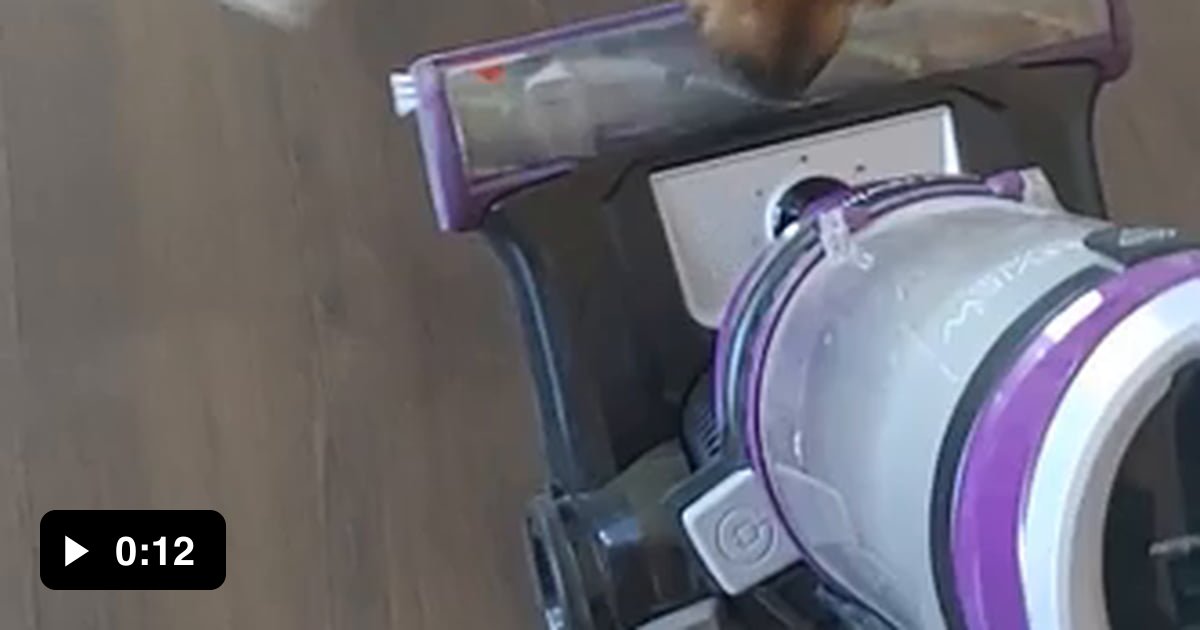 Evil Vacuum!! - 9GAG