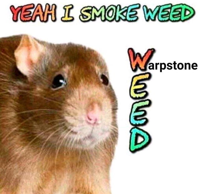 WARPSTONE EVERY DAY-DAY - 9GAG