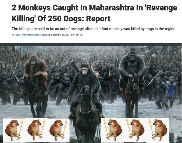 Monke vs Doge in India - 9GAG