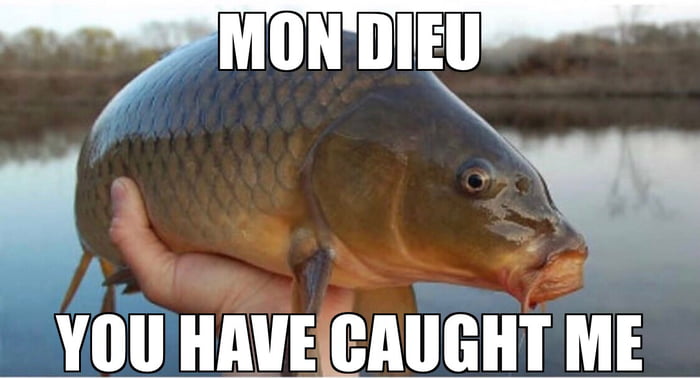 If Carp could speak, it would have french accent - 9GAG
