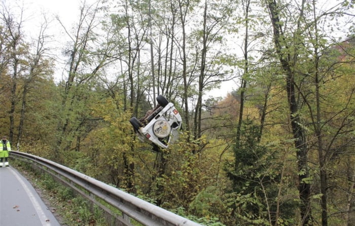 Give a high-five - to a tree - with your car. - 9GAG