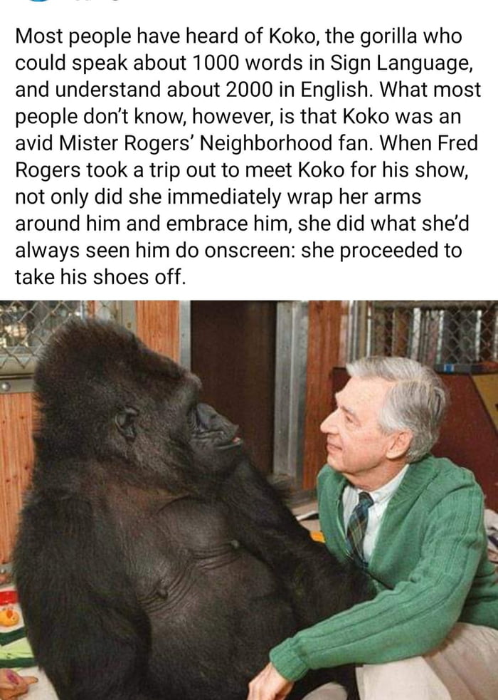 Pretty f**kin awesome - 9GAG