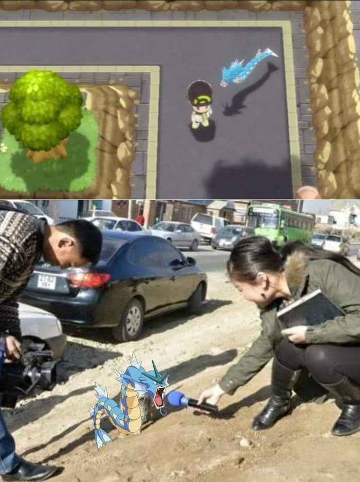 Smol angry boi... - 9GAG