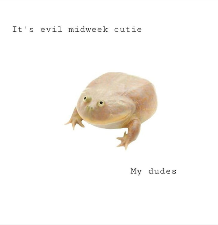 Similar to but legally distinct from the lollipop guild. - 9GAG