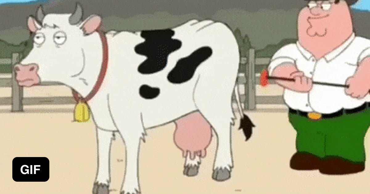 Bdsm Cow - 9GAG