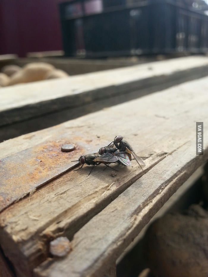 The wonder of love in a nutshell - 9GAG