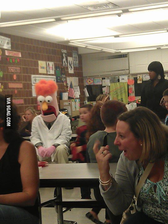 Beaker always had trouble fitting in. - 9GAG