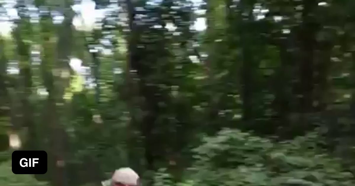 Hold on, it's gonna be a bumpy ride! - 9GAG