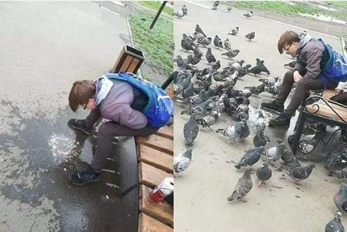 Saturday morning feeding pigeons - 9GAG