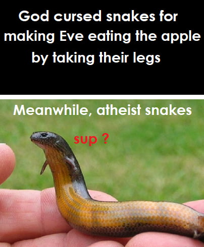 Solid snake approves - 9GAG