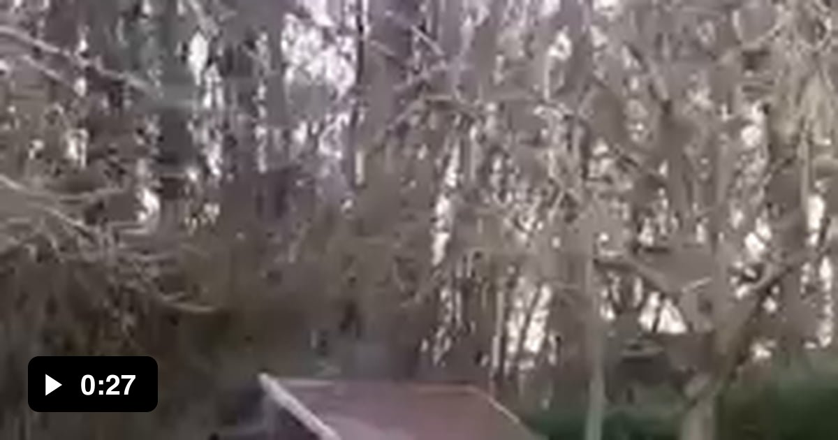 Garden side rave! - 9GAG