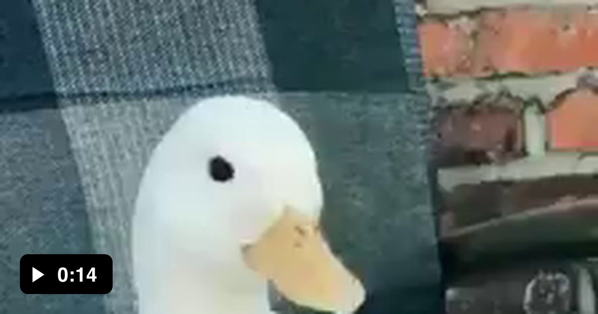 Push the quack button - 9GAG