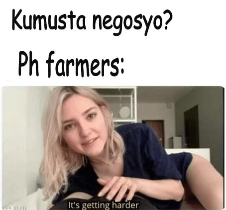 Kapag ang palay naging bigas, may bumayo - 9GAG