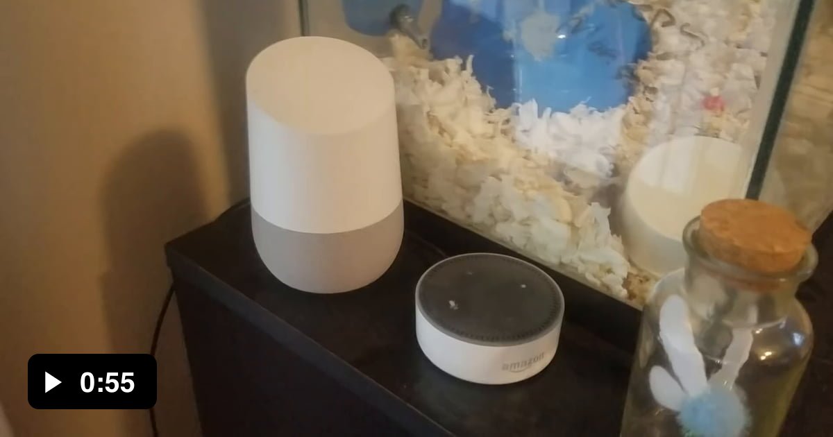 Okay Google Repeat After Me Alexa Simon Says Okay Google Repeat After ...