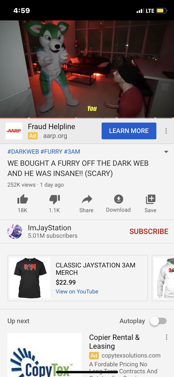 Omg a furry! So scare! - 9GAG