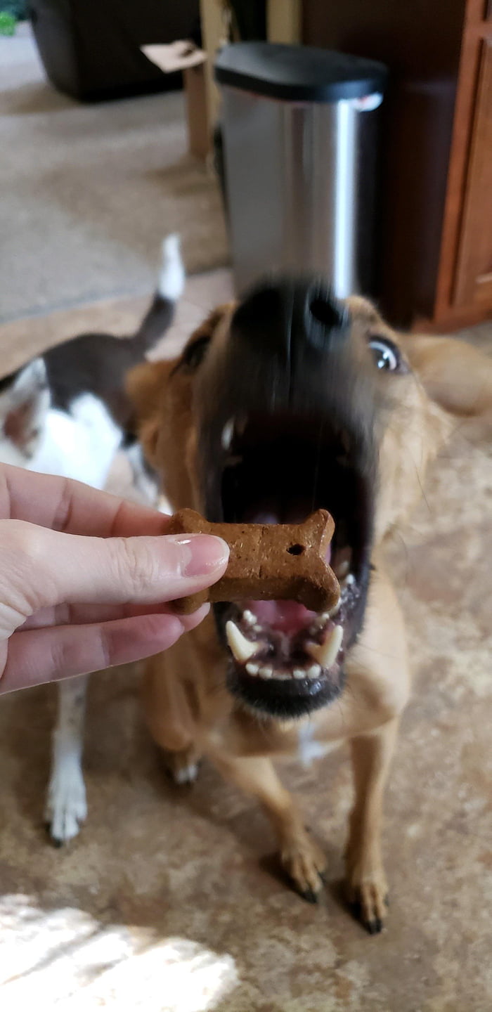 Cooooookie!! - 9GAG