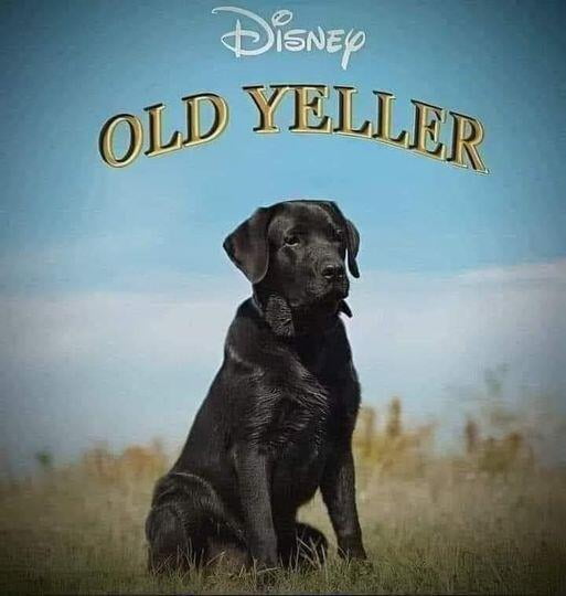 Disney announces remake of Old Yeller - 9GAG