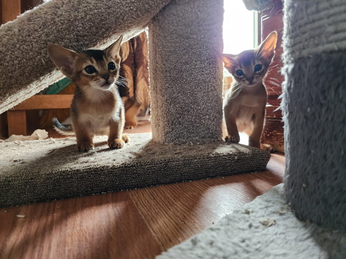 Trouble 1 and Trouble 2 - 9GAG