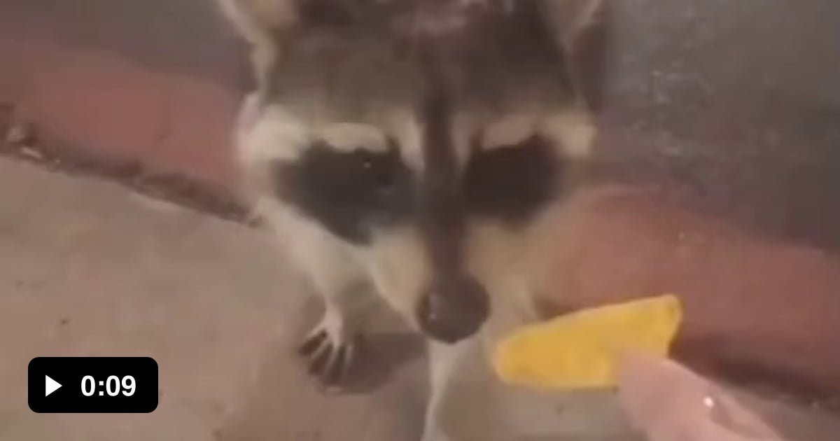 Dude talking like he's gonna drop a heavy bit - 9GAG