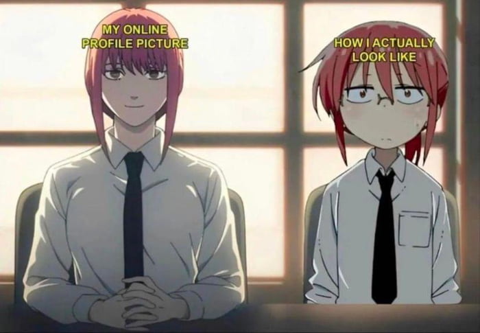 Makima and downgraded makima - 9GAG