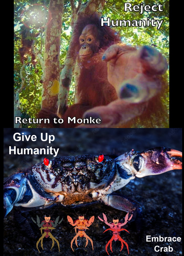 Everything becomes crab in the end... - 9GAG