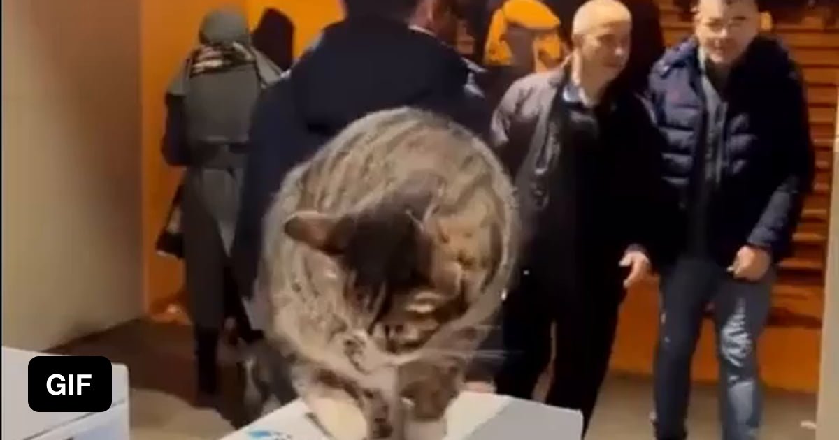 He is very dedicated - 9GAG