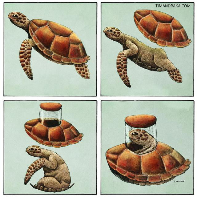 The ufo turtle, the flying shell - 9GAG